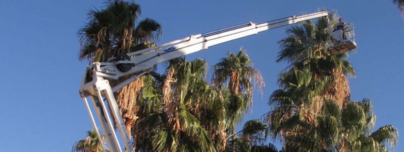 IMAGES | Falcon Lifts